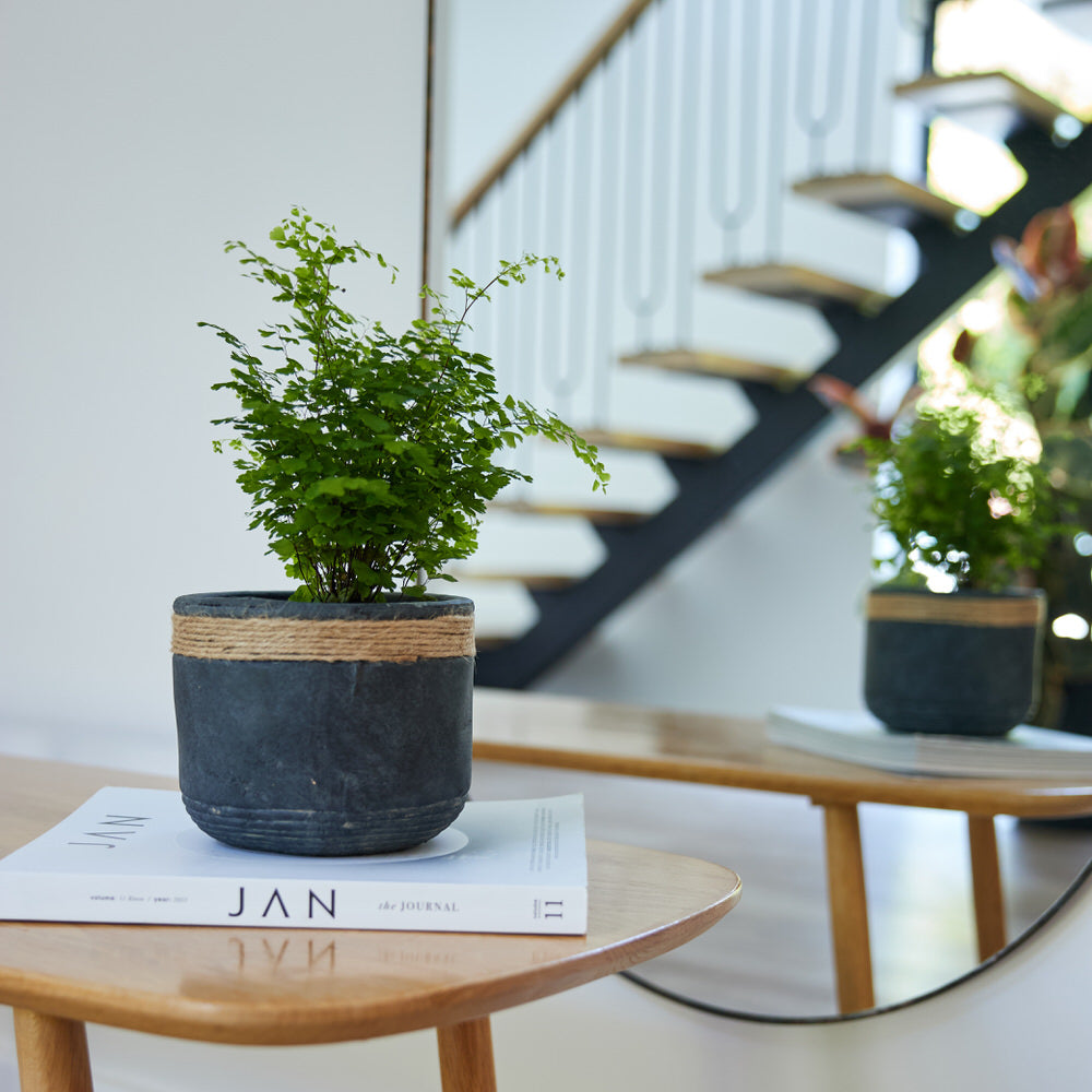 Pots – Price and Sons